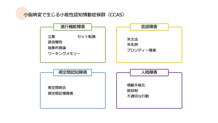 【脳機能】小脳性認知情動症候群（CCAS）について | ぱられるゴリラ